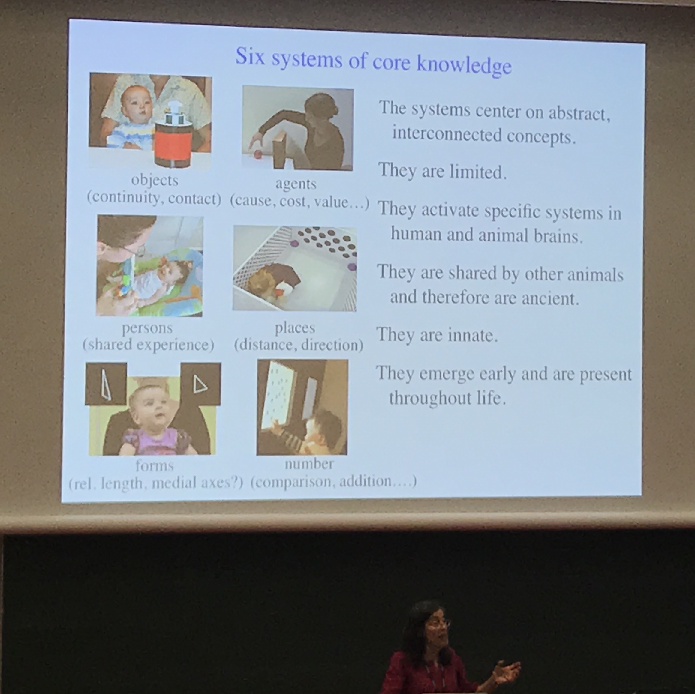 Cognitive Computational Neuroscience 2019 - A Mini-Report - Rob’s Homepage