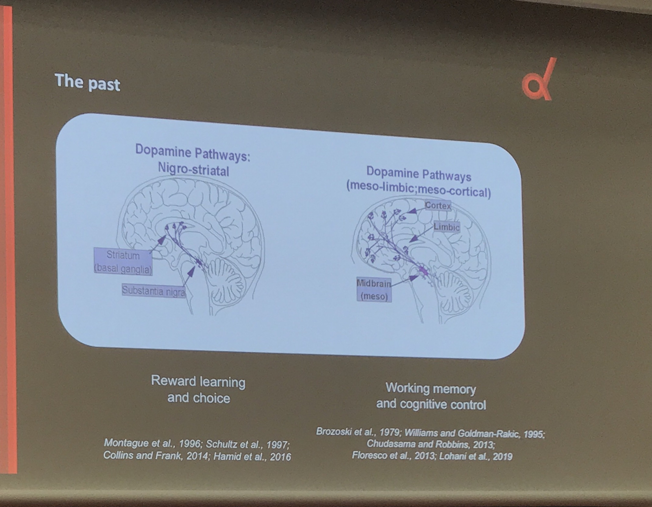 Cognitive Computational Neuroscience 2019 - A Mini-Report - Rob’s Homepage